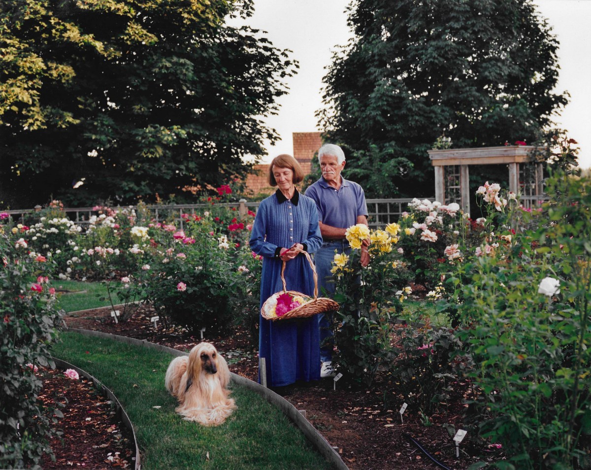 Anne Belovich's Roses of Yesteryear – celebrating flowers, food ...