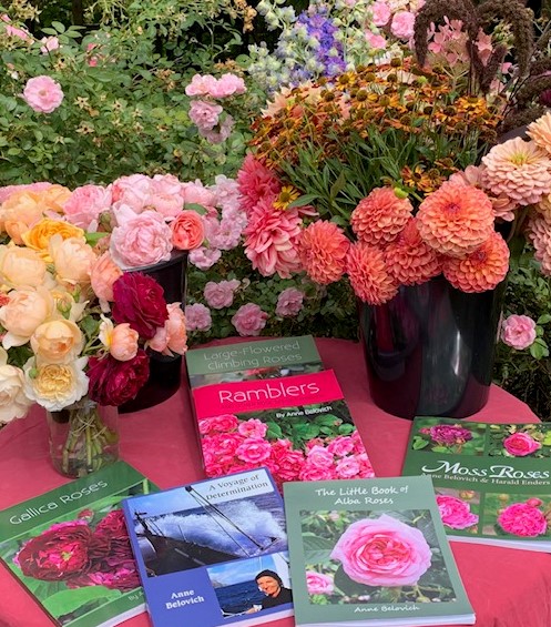 Books by Anne Belovich – Anne Belovich's Roses of Yesteryear