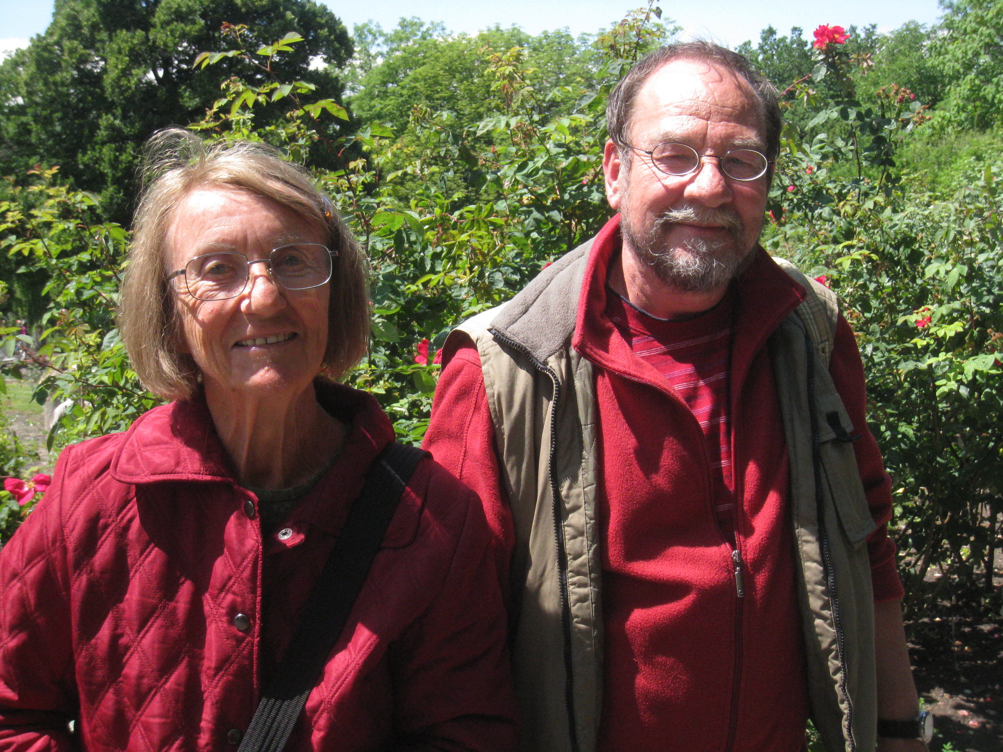 A Rose Project – Anne Belovich's Roses of Yesteryear